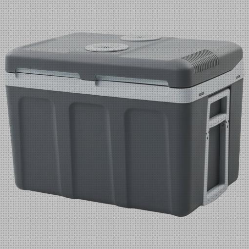 ⊛ 32 Mejores Neveras Portátiles Cool Ice Termoeléctrica : [mes] 2025